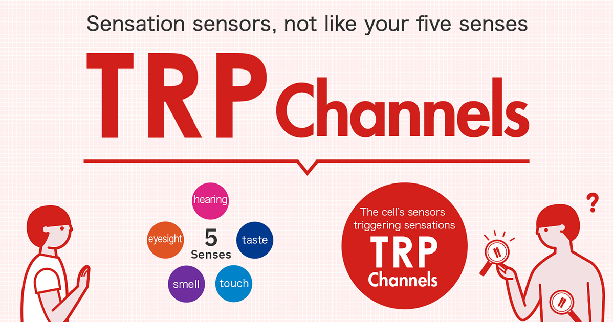 mandom corp.｜Research & Development｜Pick Up Contents｜Sensation sensors ...